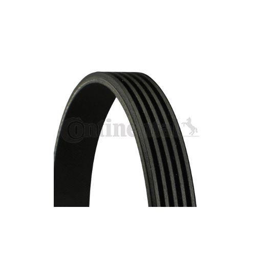 VS30 Serpentine Belt (2019+) – Million Mile Sprinter